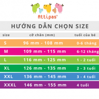 Hướng dẫn chọn size giầy Attipas - Giầy tập đi Attipas